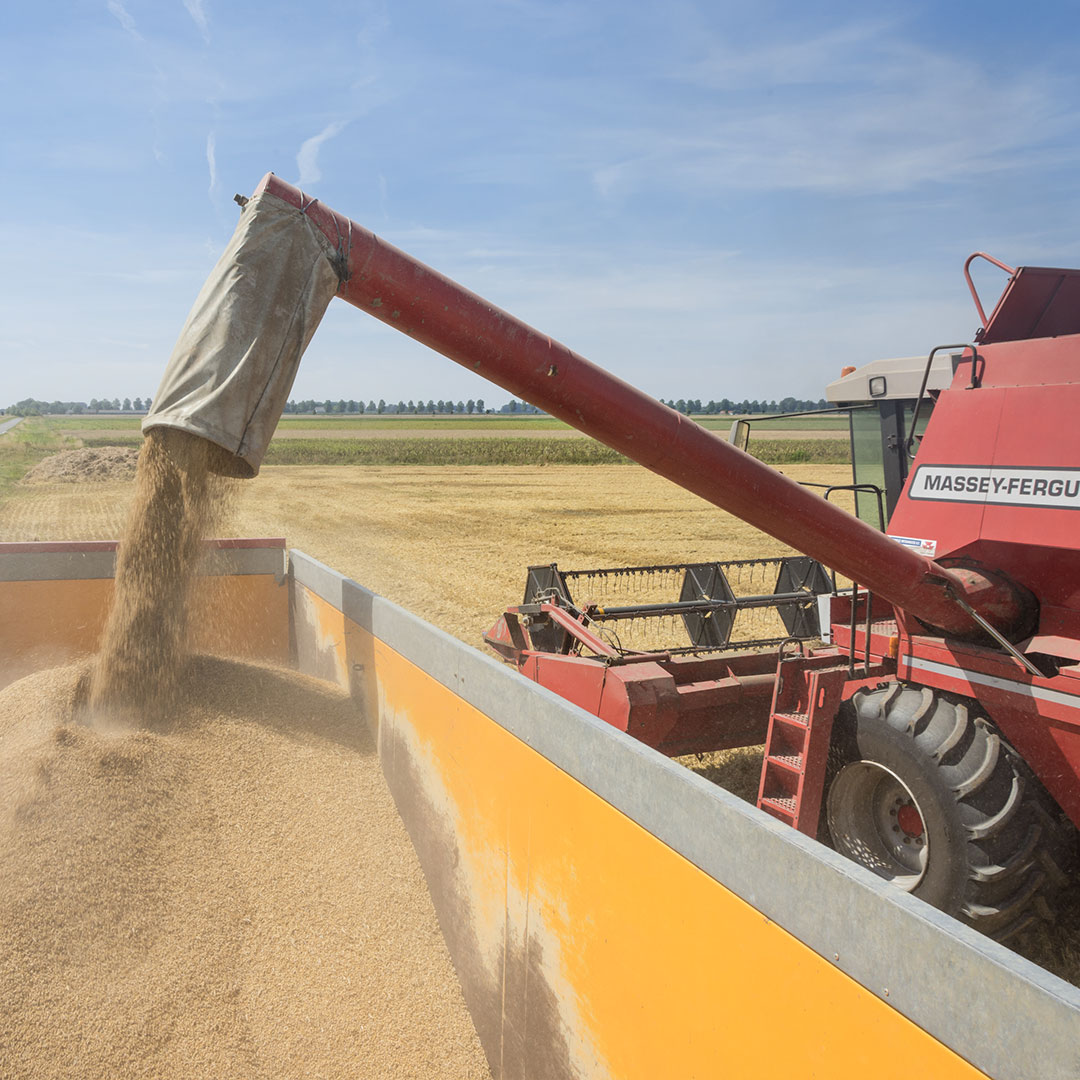 Our process – The journey of malt – The Swaen