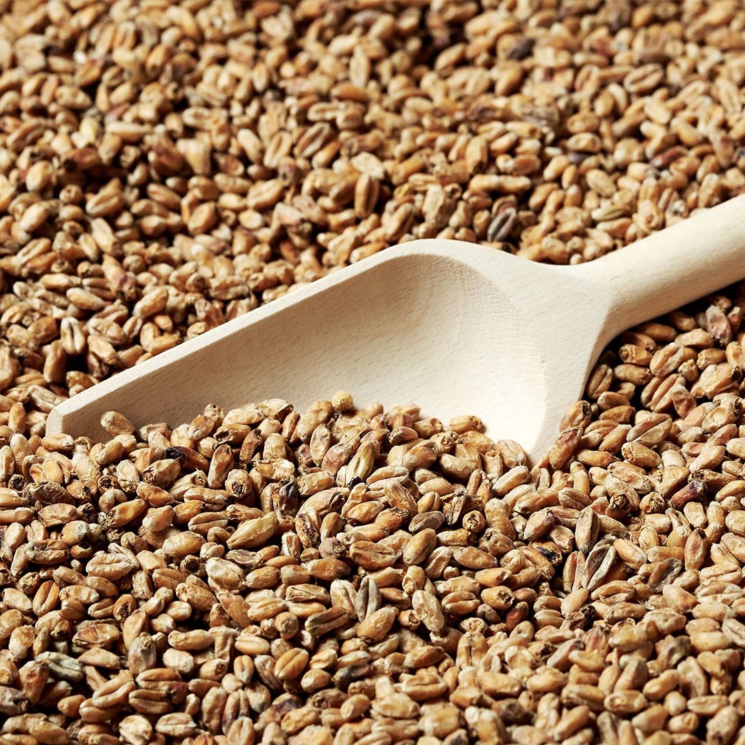 Swaen© Wheat Classic distilling malt – The Swaen