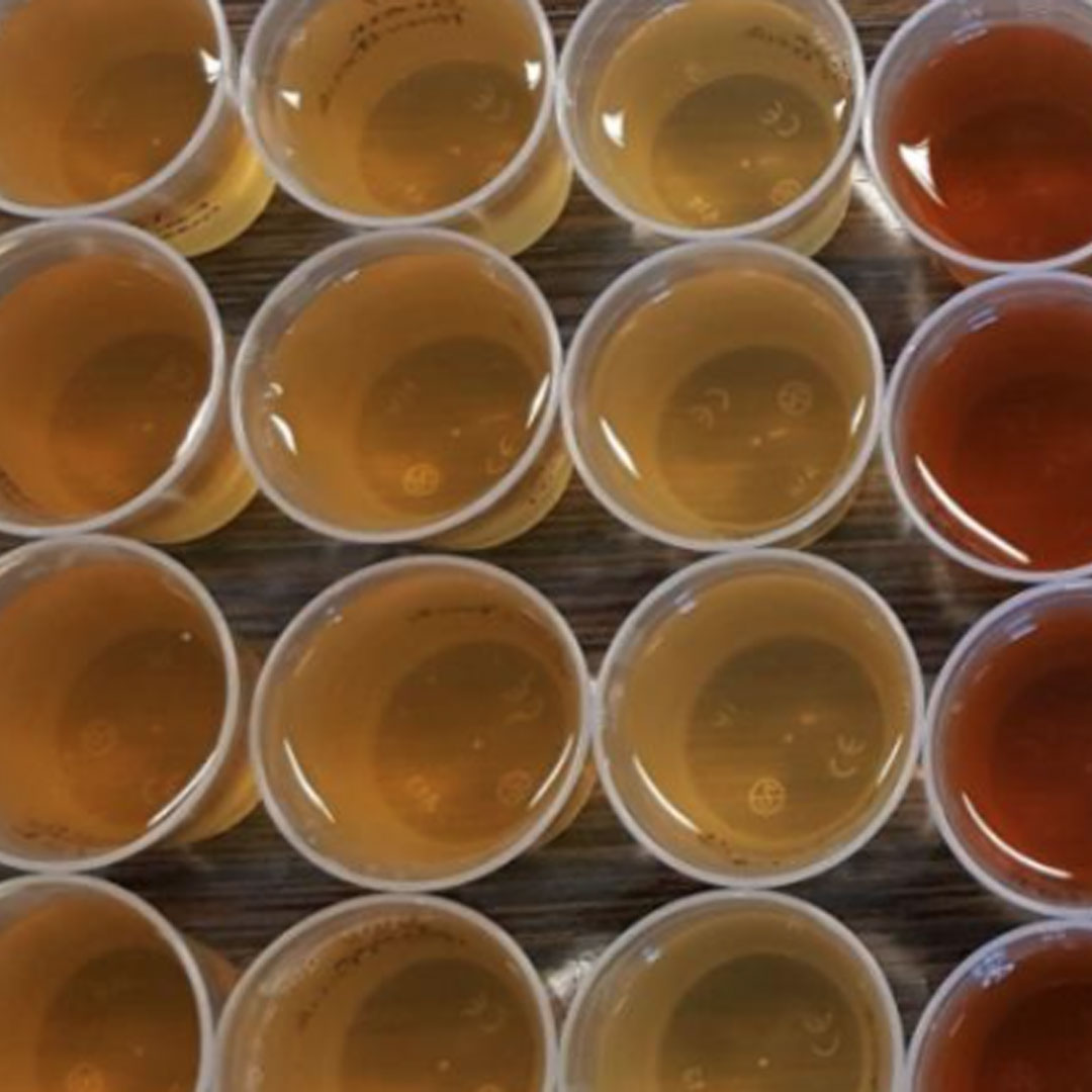 Production of distilling malt – The Swaen