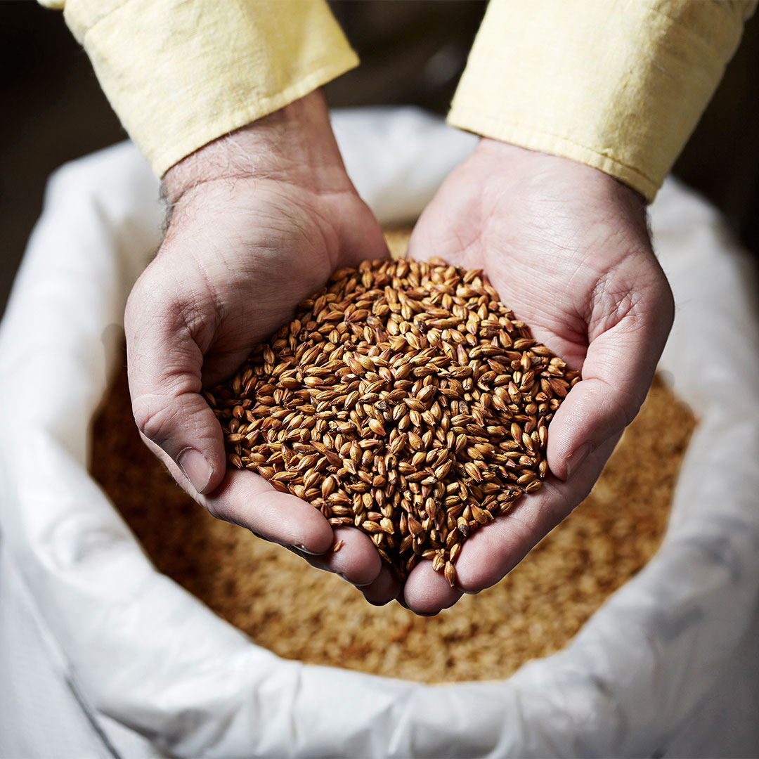 Malt for beer – The Swaen