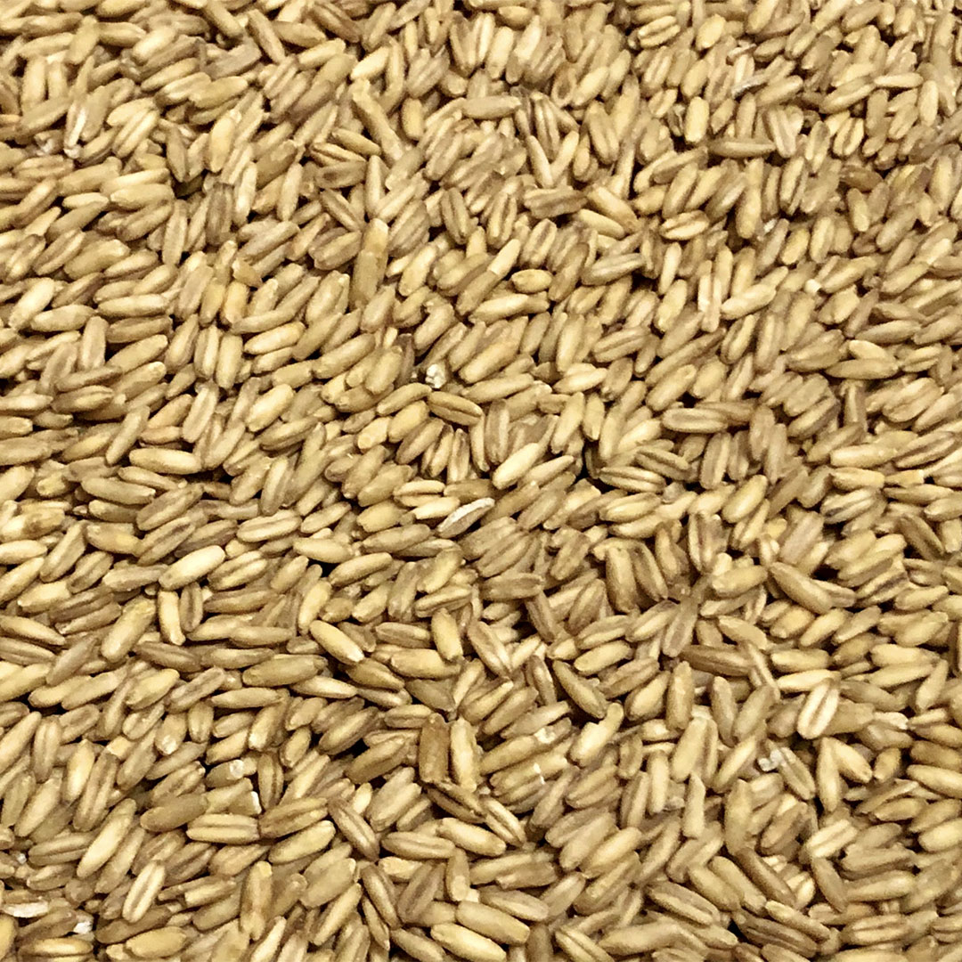 What are malted naked oats? – The Swaen